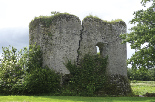 The Old Countess, the Geraldine knight and the lady antiquarian: a ...
