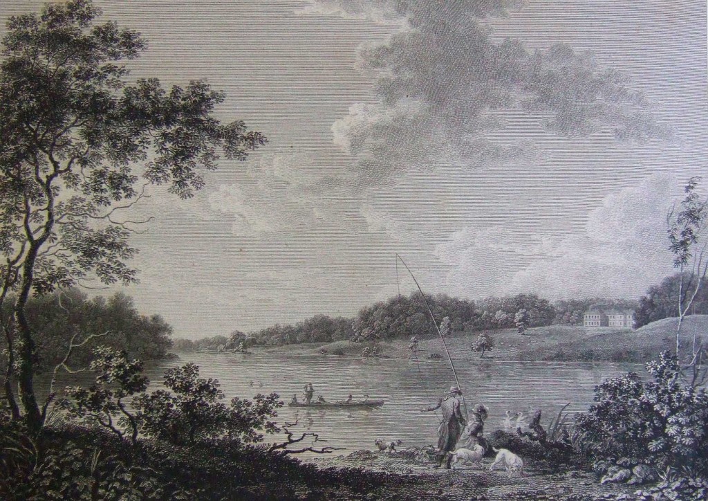 A map of Ballyfin demesne 200 years ago – History Ireland