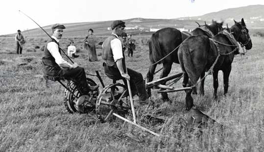 Cultivating a return: tillage farming, food security and the lessons of ...