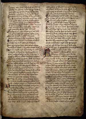 Estimating the survival of texts and manuscripts in the Gaelic ...