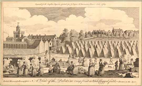 THE PALATINES IN IRELAND - History Ireland
